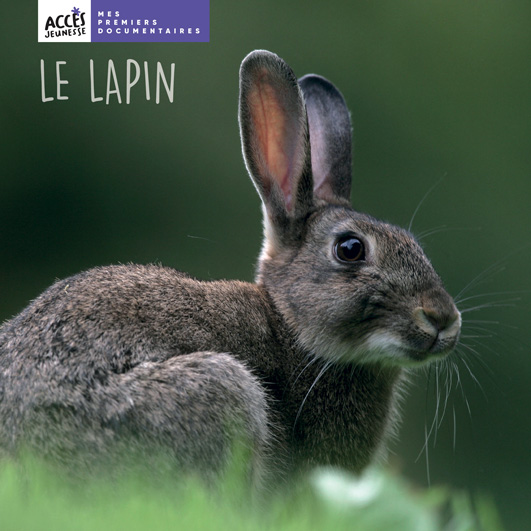 PORTES OUVERTES - LE LAPIN - DOCUMENTAIRE | ACCÈS Éditions PORTES OUVERTES - LE LAPIN - DOCUMENTAIRE | ACCÈS Éditions